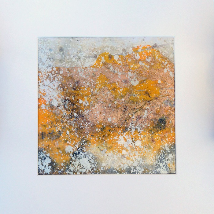 25x25cm :: Jules-cotte